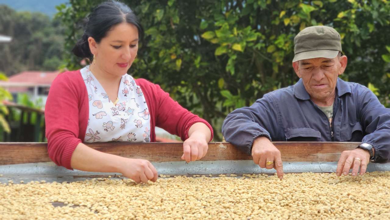 Single Origin Coffee – ENCANTO.COFFEE