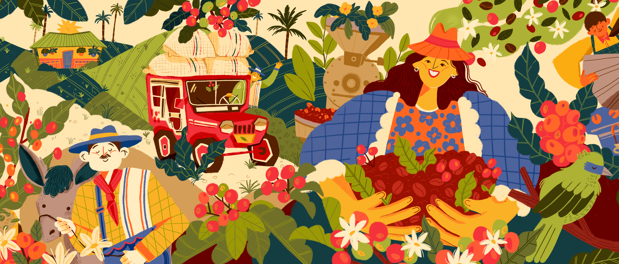 Encanto Specialty Coffee – ENCANTO.COFFEE